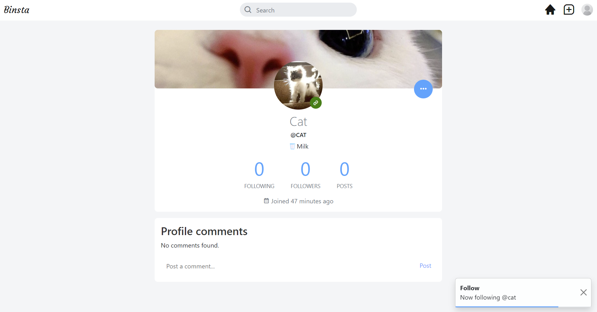 GitHub - zepheijmans/Binsta: A recreation of Instagram but with the goal to share code. I've ...
