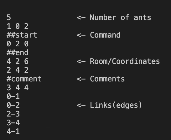 GitHub - MiroTissari/Lem_in: Hive (42) project from the Algorithm branch
