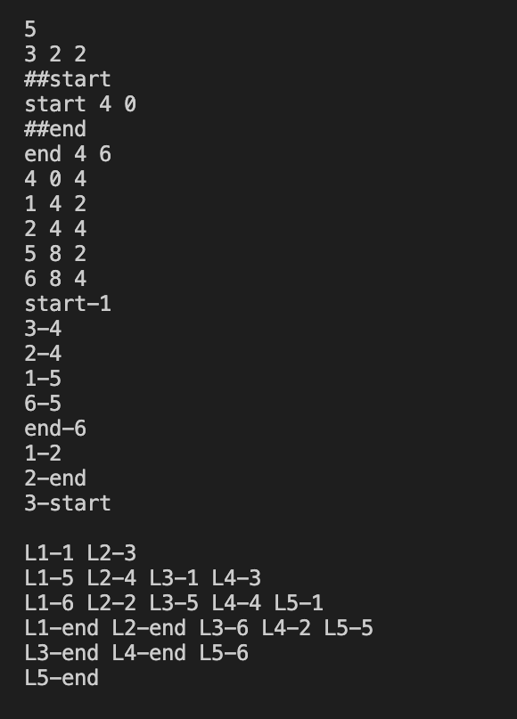 GitHub - MiroTissari/Lem_in: Hive (42) project from the Algorithm branch