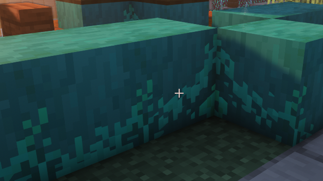 "Stripped Warped Hyphae" Blocks Display Artifacts when using ...