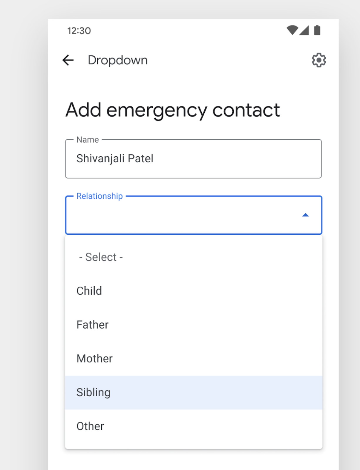 Datacapture, add label, leading icon and helper text to the textfields in sdc widgets. · Issue ...