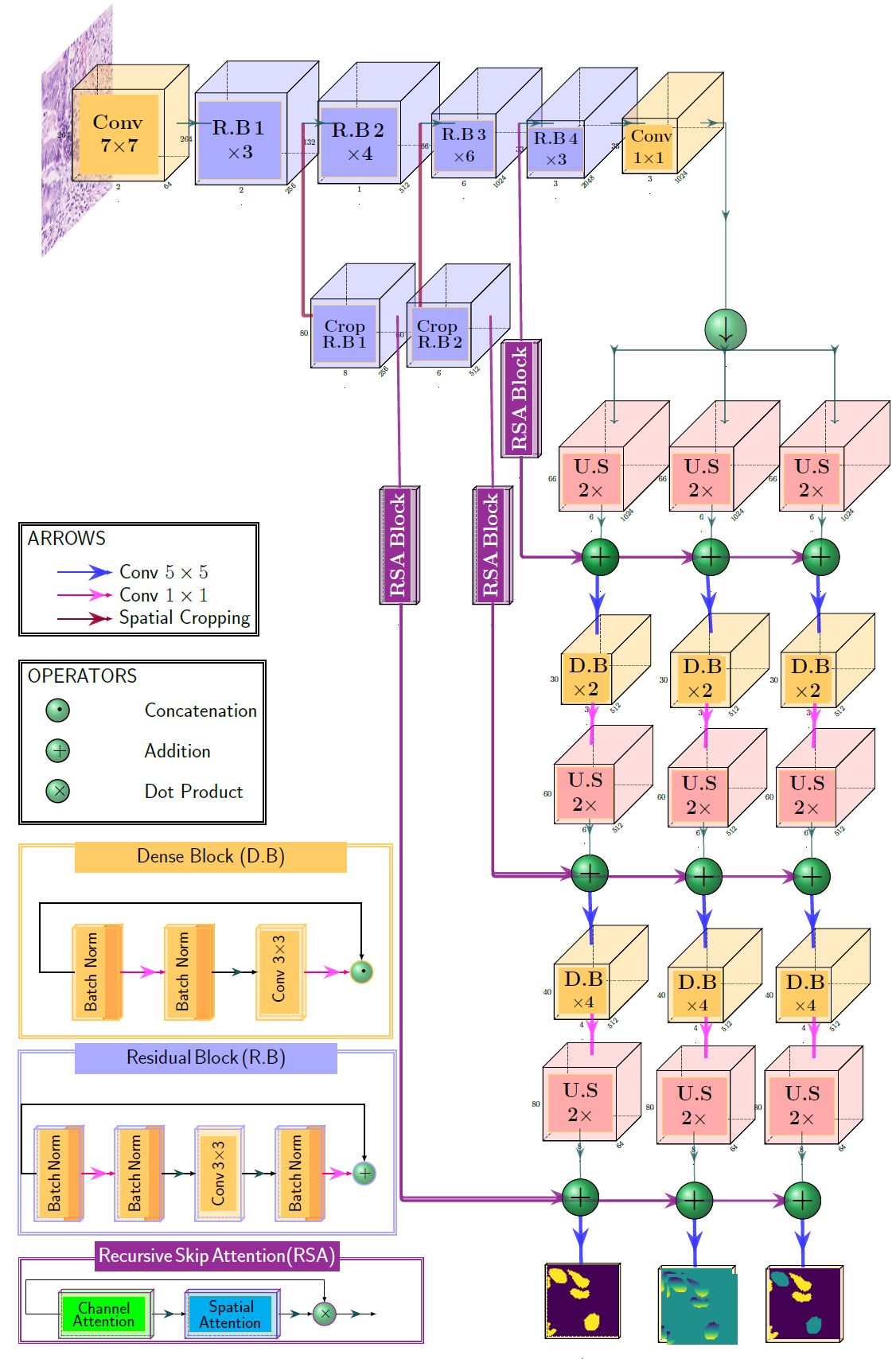 GitHub - Vision-At-SEECS/CP-RSA-NET