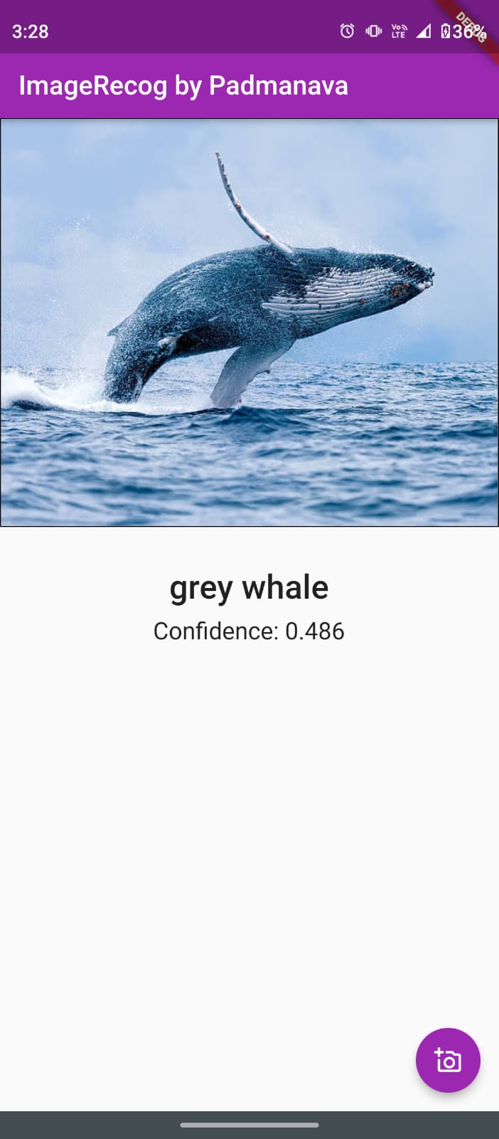 GitHub - HellThrall2000/IMAGE_RECOG: Flutter app for image ...