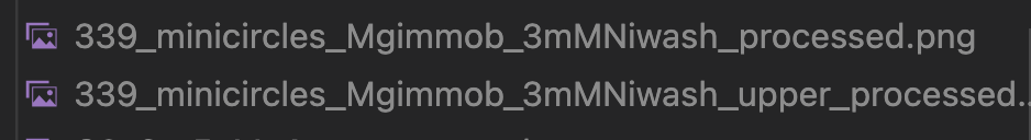 Incorrect naming of output files when input files have multiple `.`s in them. · Issue #391 · AFM ...