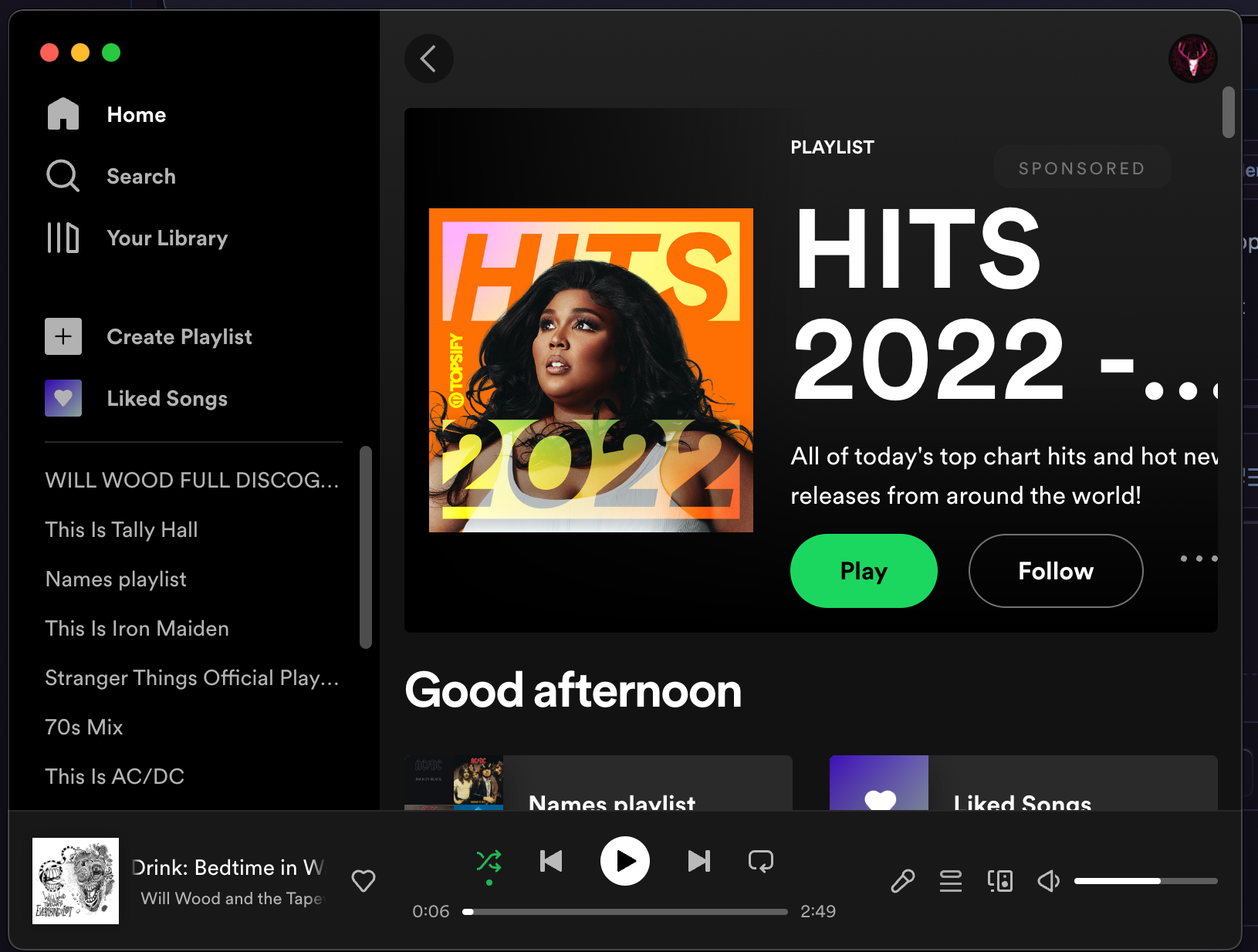 Theme Doenst Load Properly In Spotify · Issue 22 · Catppuccinspicetify · Github 
