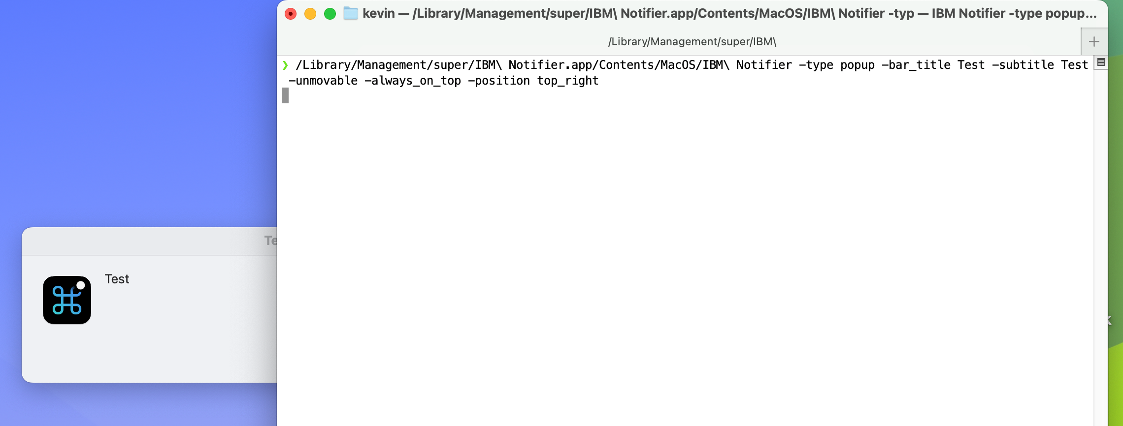 [BUG] Pop-up UI usage of `-unmovable` breaks `-always-on-top` and `-position` options. · Issue ...