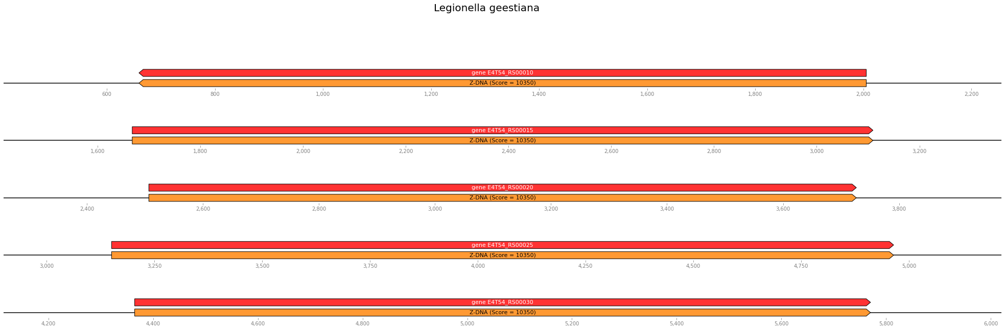 GitHub - screenwriting/hse22_project