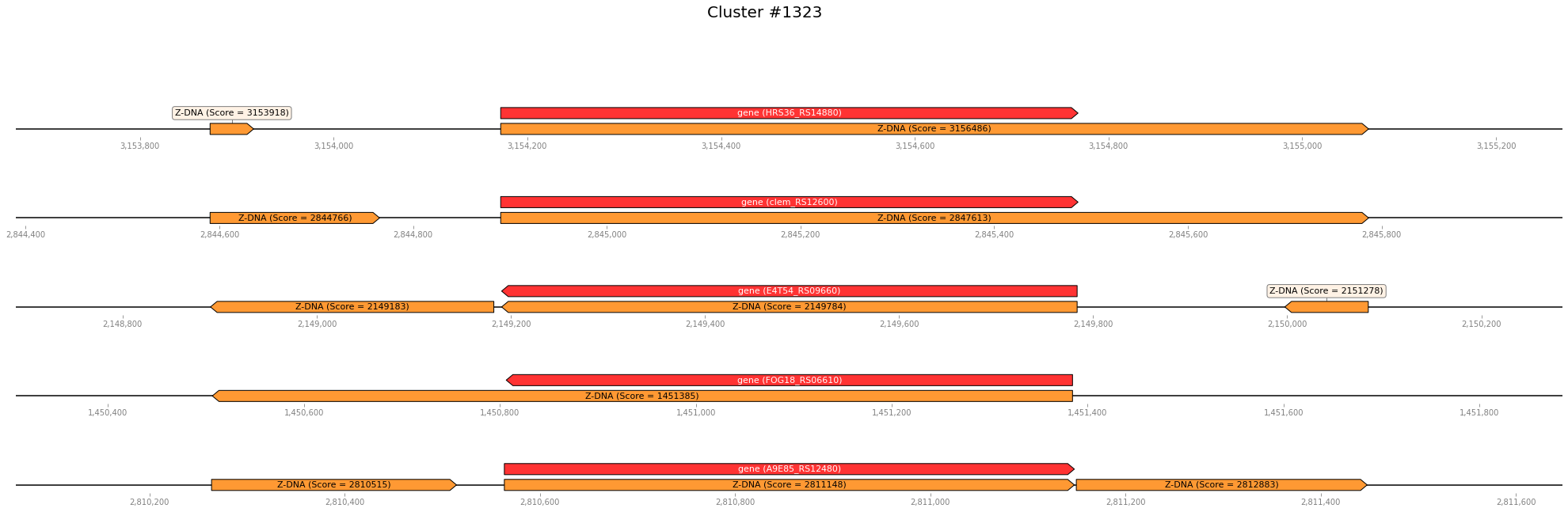 GitHub - screenwriting/hse22_project