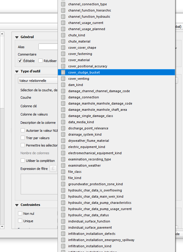 Use Of Autocomplete Dropdown Widget For Layers Lists In Qgis · Issue 54957 · Qgisqgis · Github