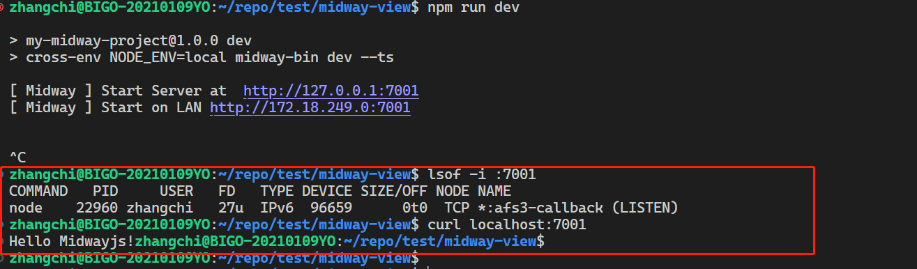本地 dev 启动 ctrl + c 停止后有一定概率服务实际没停止 · Issue #2334 · midwayjs/midway · GitHub