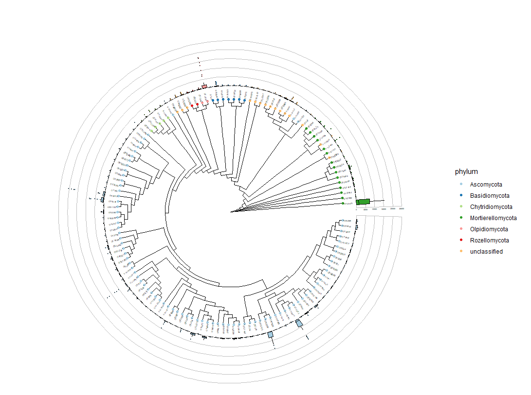log scale and ggbreak · Issue #18 · YuLab-SMU/ggtreeExtra · GitHub