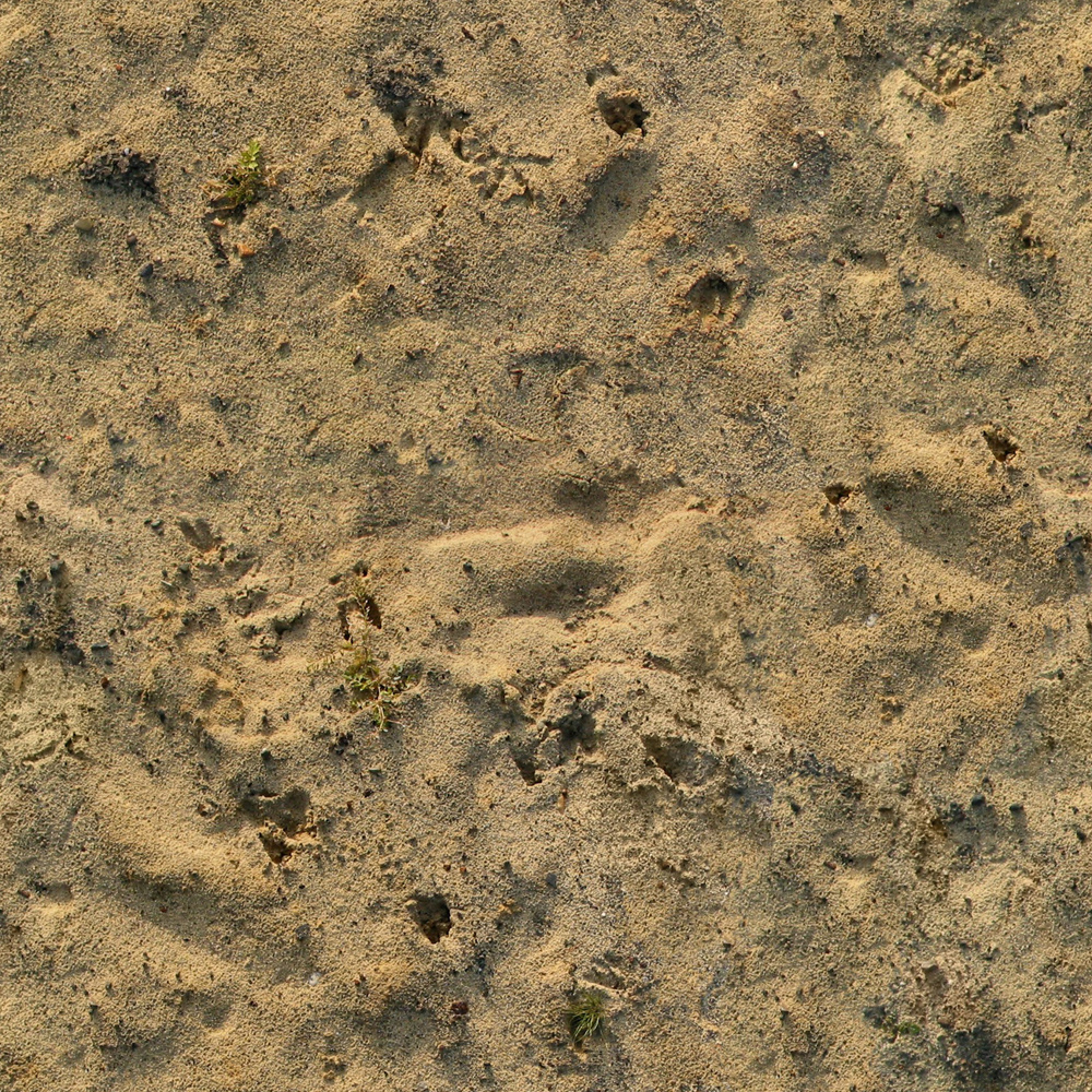 Textures are looking weird · Issue #347 · pokepetter/ursina · GitHub