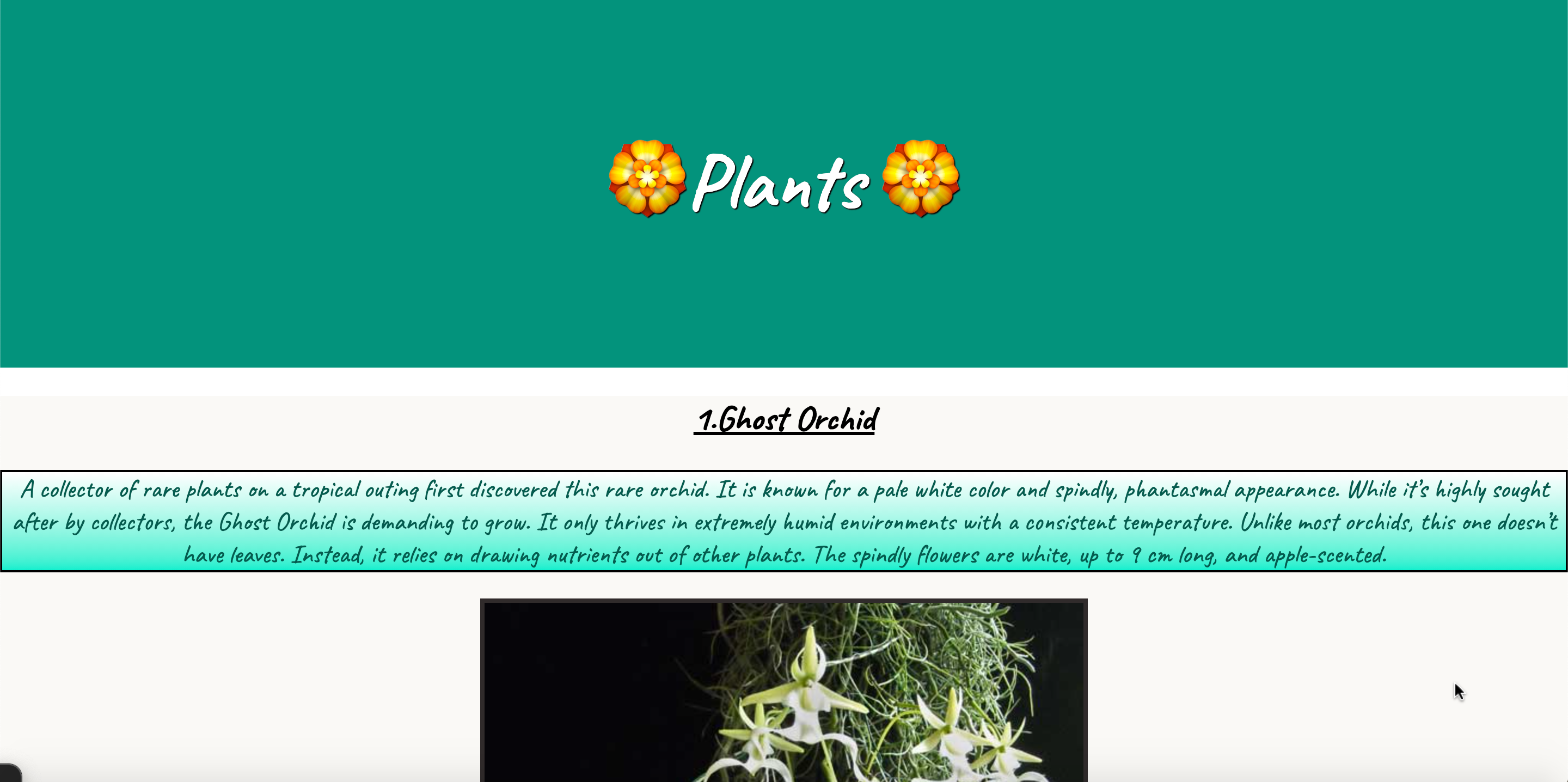 GitHub - StellaCanals/Plants: This is websites is about plants and the ...