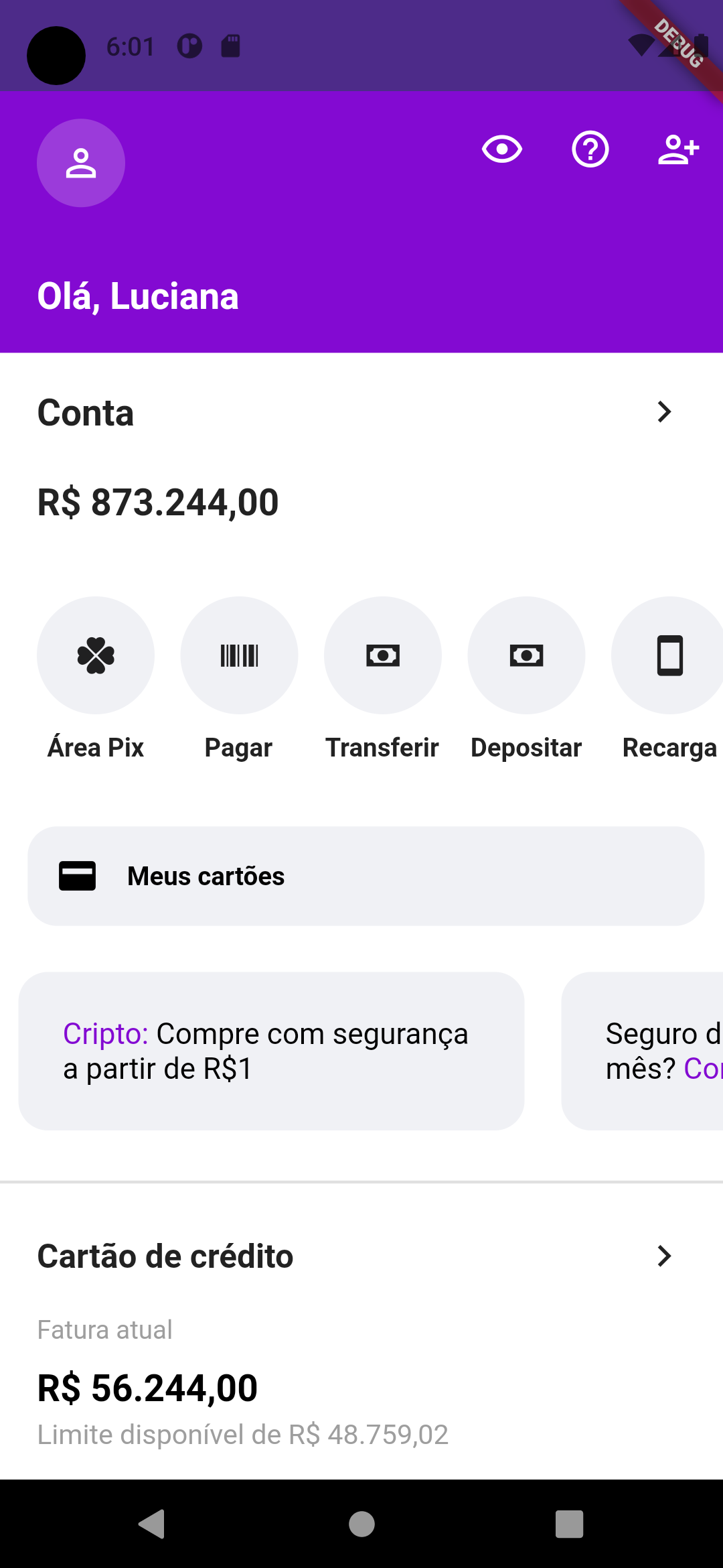 GitHub - lucianamcedro/nubank_clone_flutter: Aplicativo em Flutter para clone do layout.