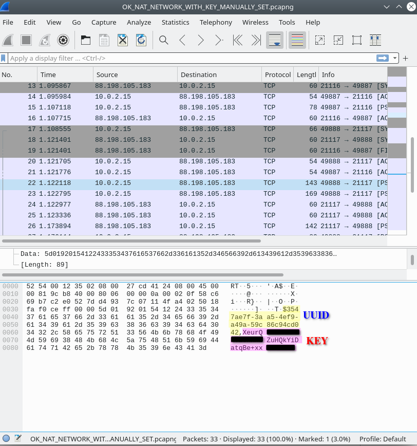 RENDEZVOUS_SERVER and RS_PUB_KEY do not get embedded in Windows build ...