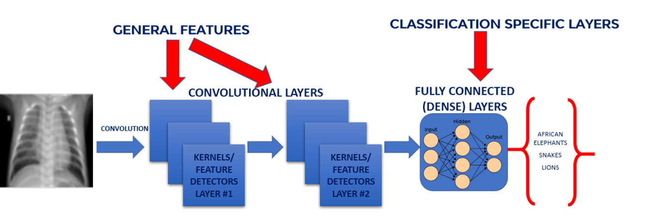 GitHub - pradeepsuyal/classifying_disease_with-chest_xray