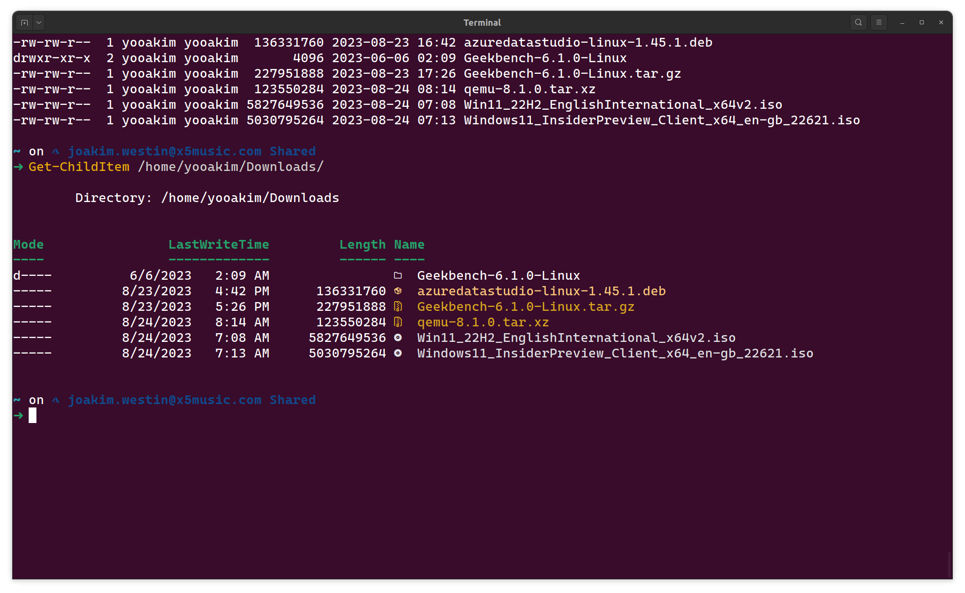 Get-ChildItem does not respect env:TIME_STYLE=long-iso on Linux (Ubuntu ...