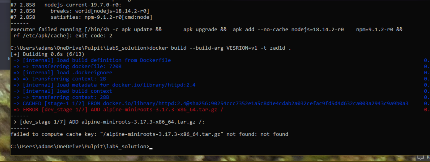 GitHub - FridayThe13thskowronikson/lab5