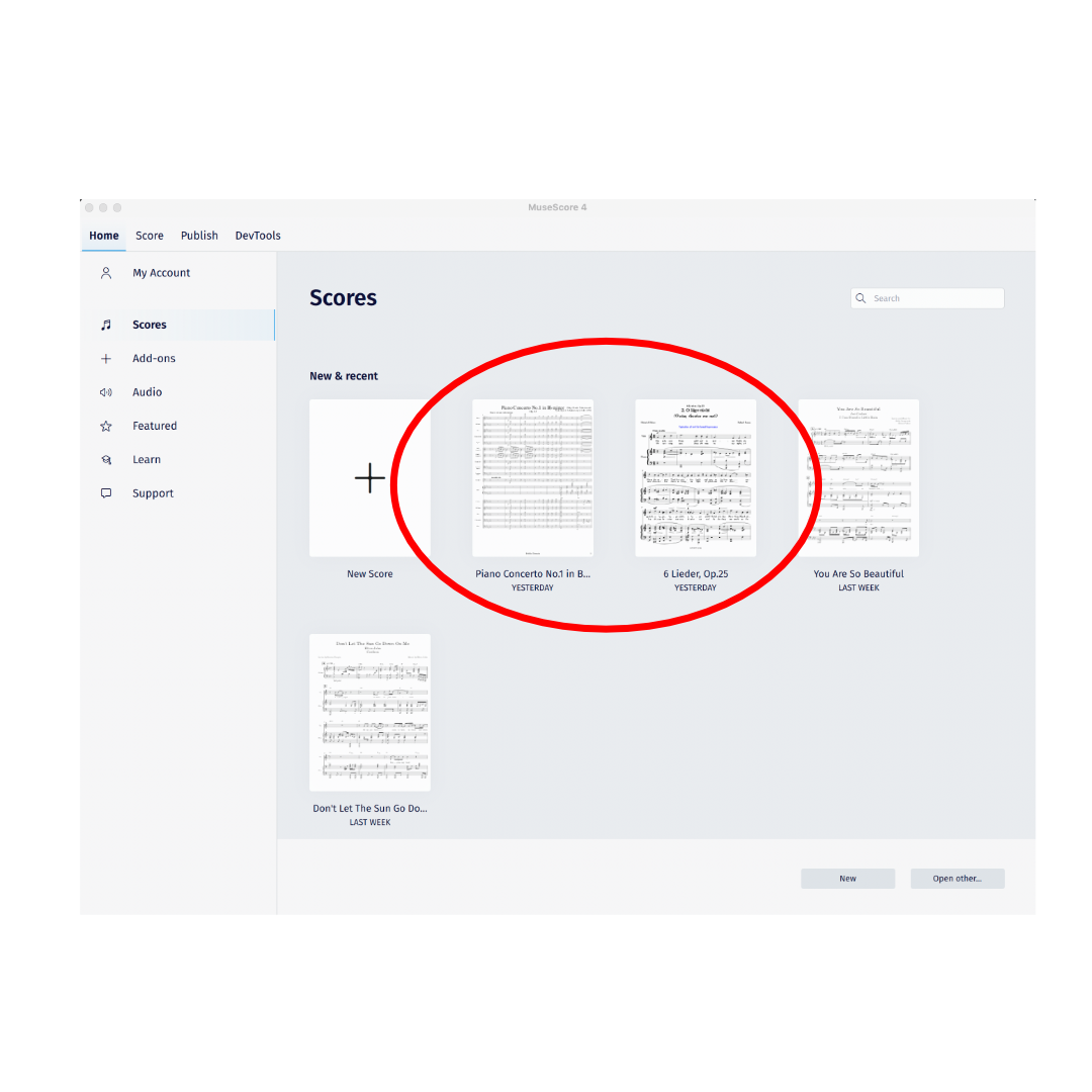 File Open Command Does Not Trigger Open File Dialog · Issue 8486 · Musescoremusescore · Github