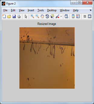 GitHub - SanjanaSanthosh/Image-Processing-Detects-Mosquito-Larvae: Using image processing ...