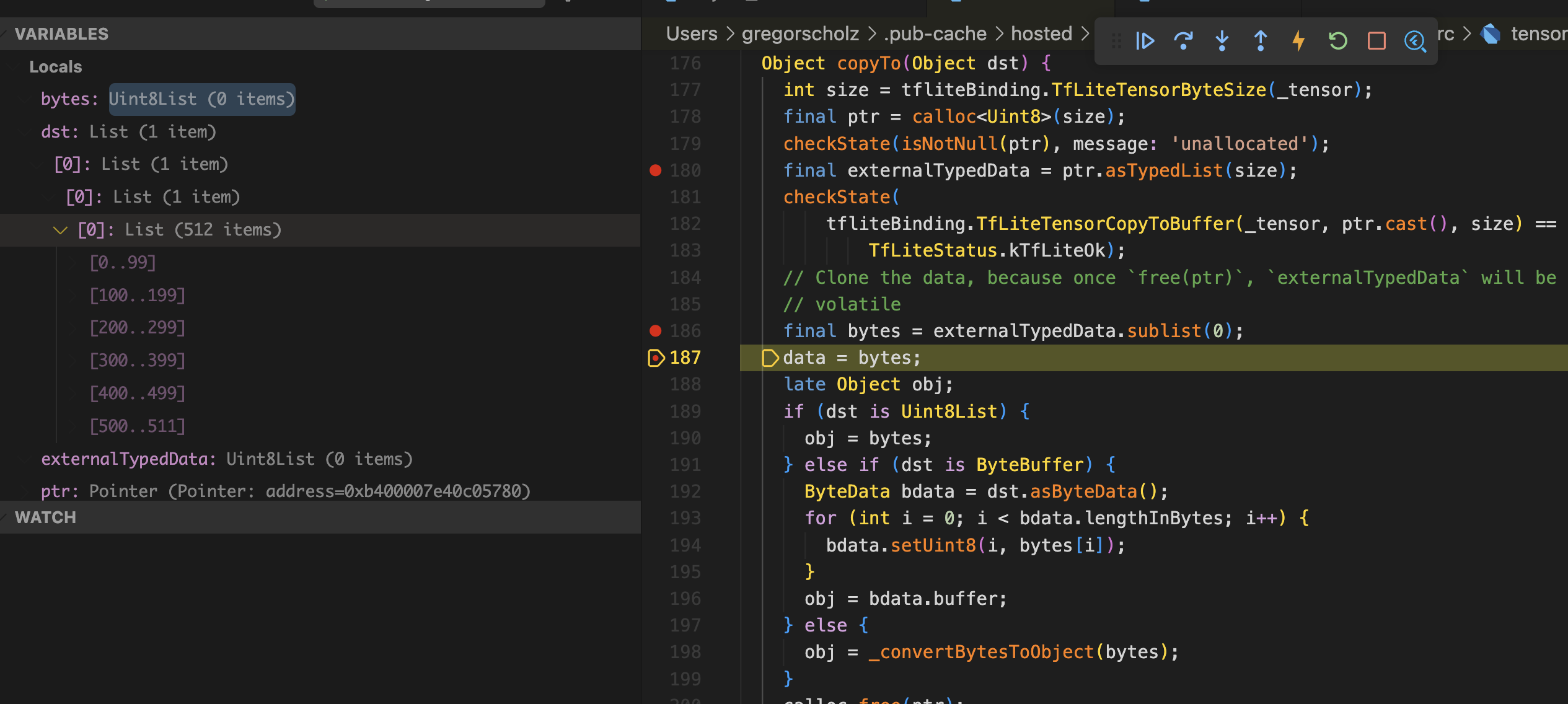 Bad state: failed precondition · Issue #138 · tensorflow/flutter-tflite · GitHub