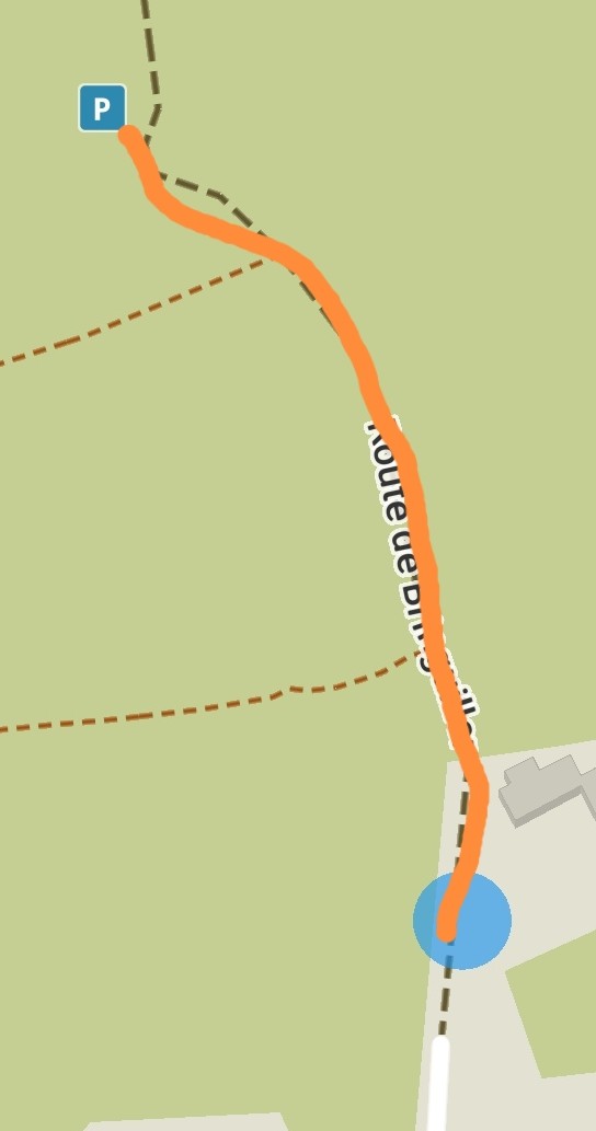 Routing error (pedestrian) · Issue #3133 · organicmaps/organicmaps · GitHub