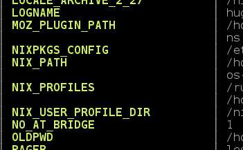 Load a plugin from an overlay · Issue #8960 · nushell/nushell · GitHub