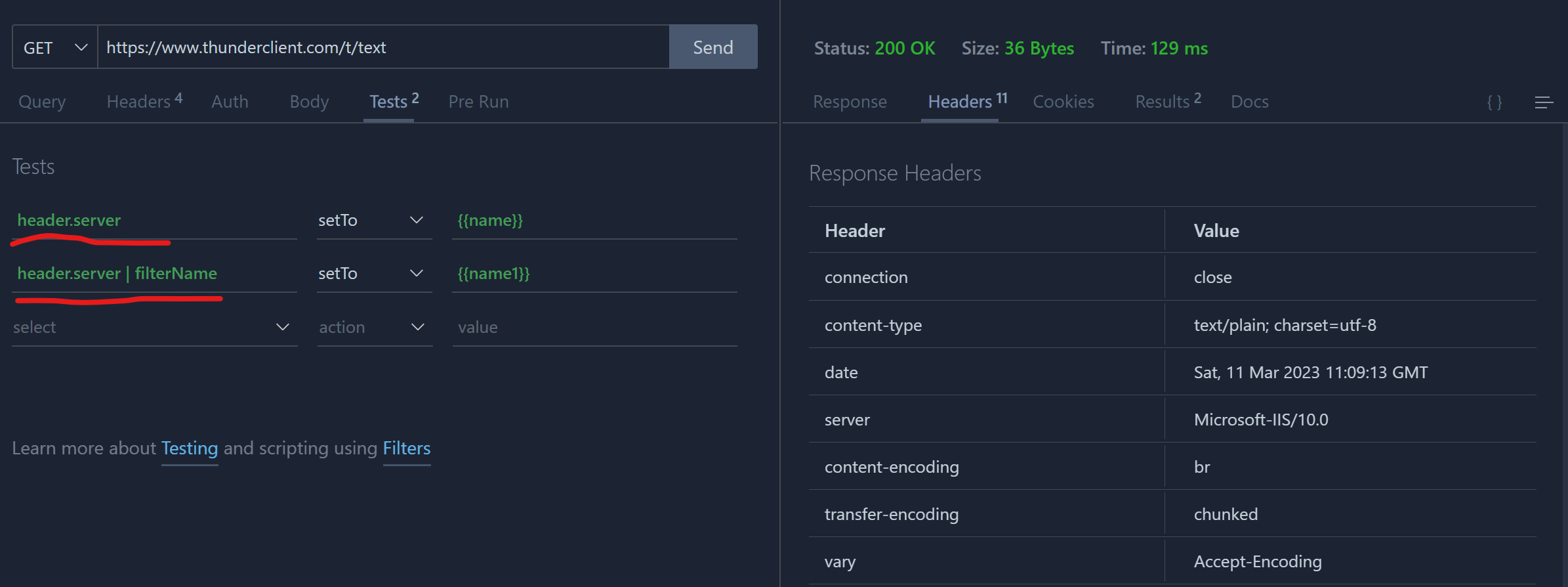 Custom Filters In Tests · Issue 1053 · Thunderclientthunder Client