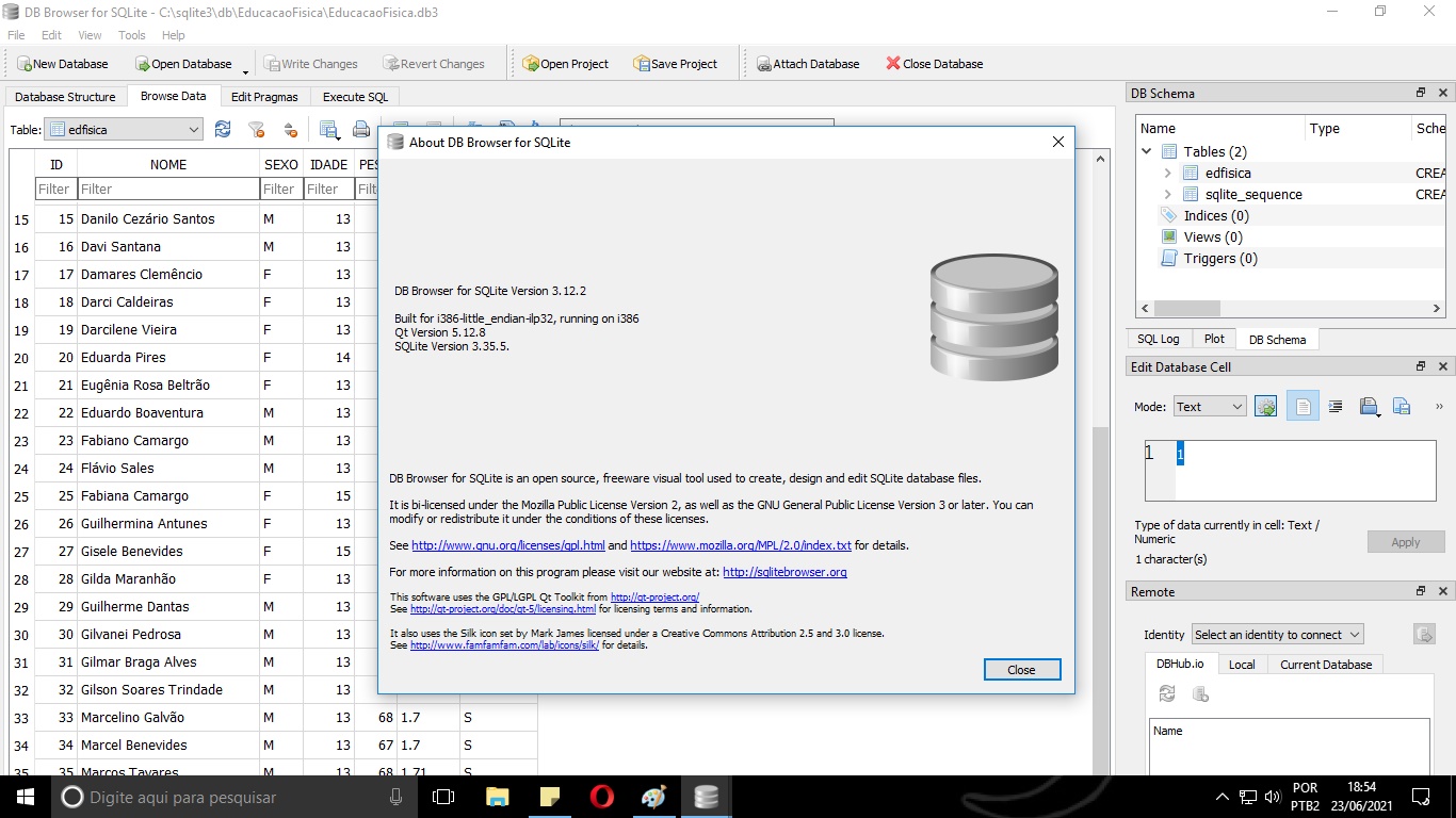 Resize · Issue #2753 · sqlitebrowser/sqlitebrowser · GitHub