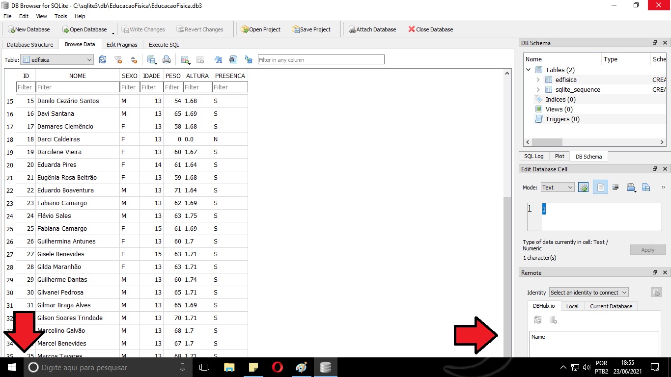 Resize · Issue #2753 · sqlitebrowser/sqlitebrowser · GitHub