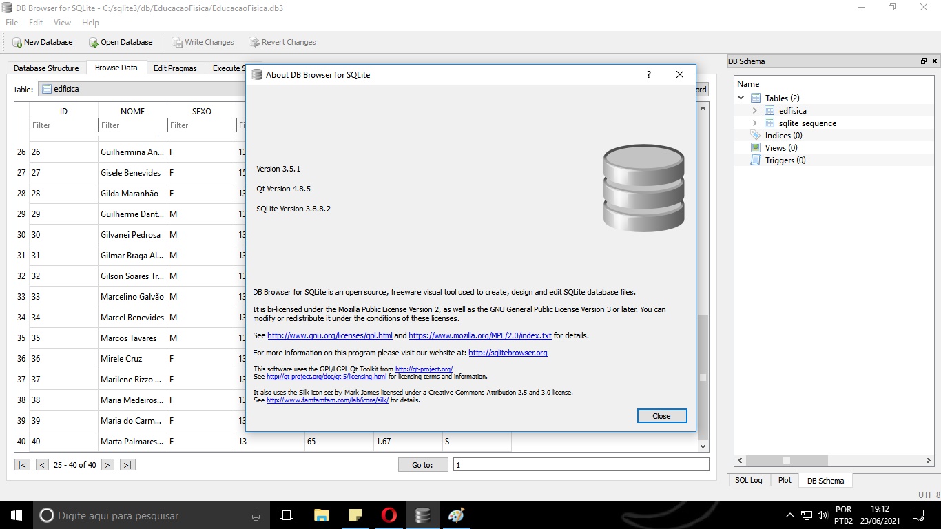 Resize · Issue #2753 · sqlitebrowser/sqlitebrowser · GitHub