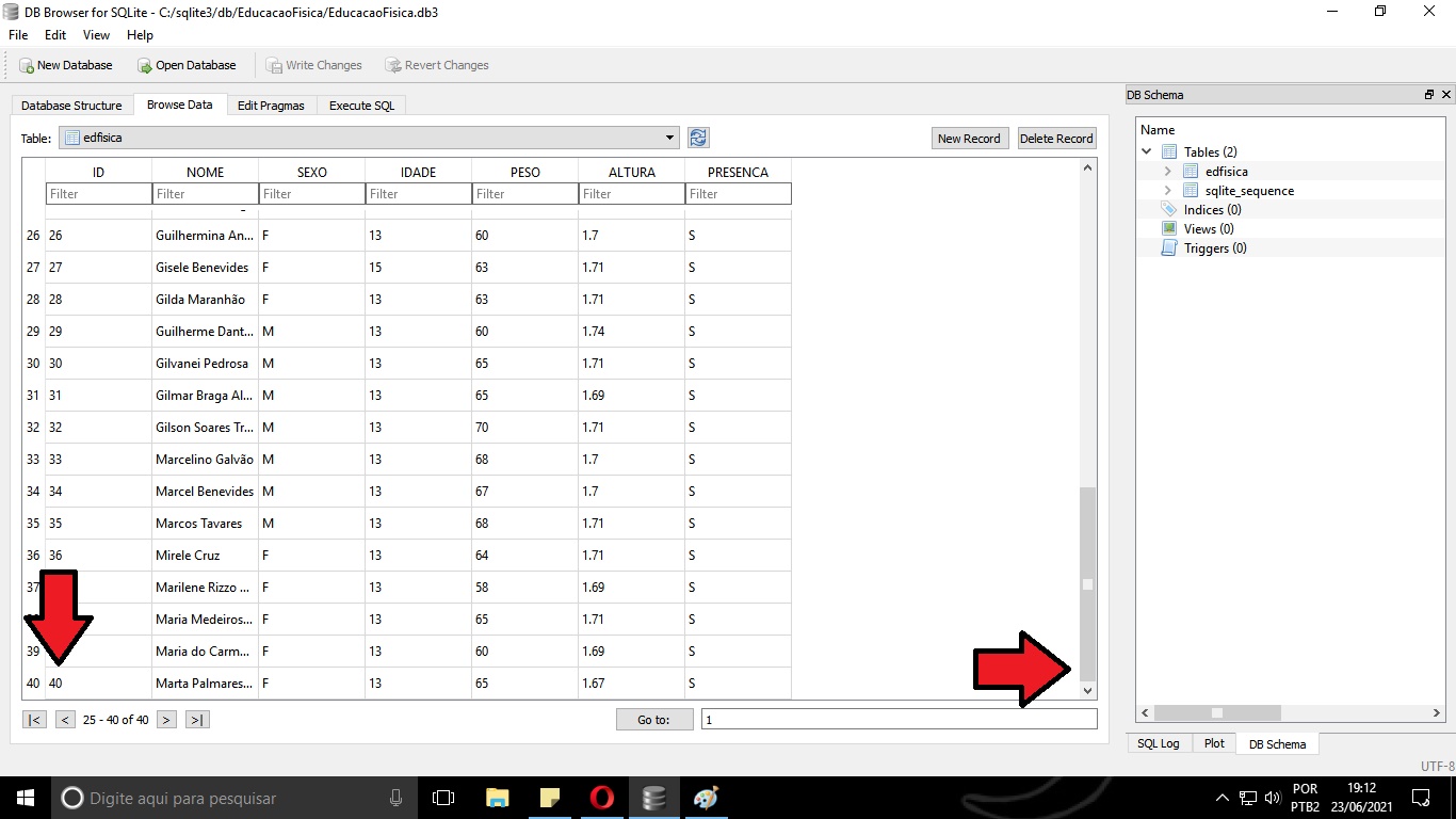 Resize · Issue #2753 · sqlitebrowser/sqlitebrowser · GitHub