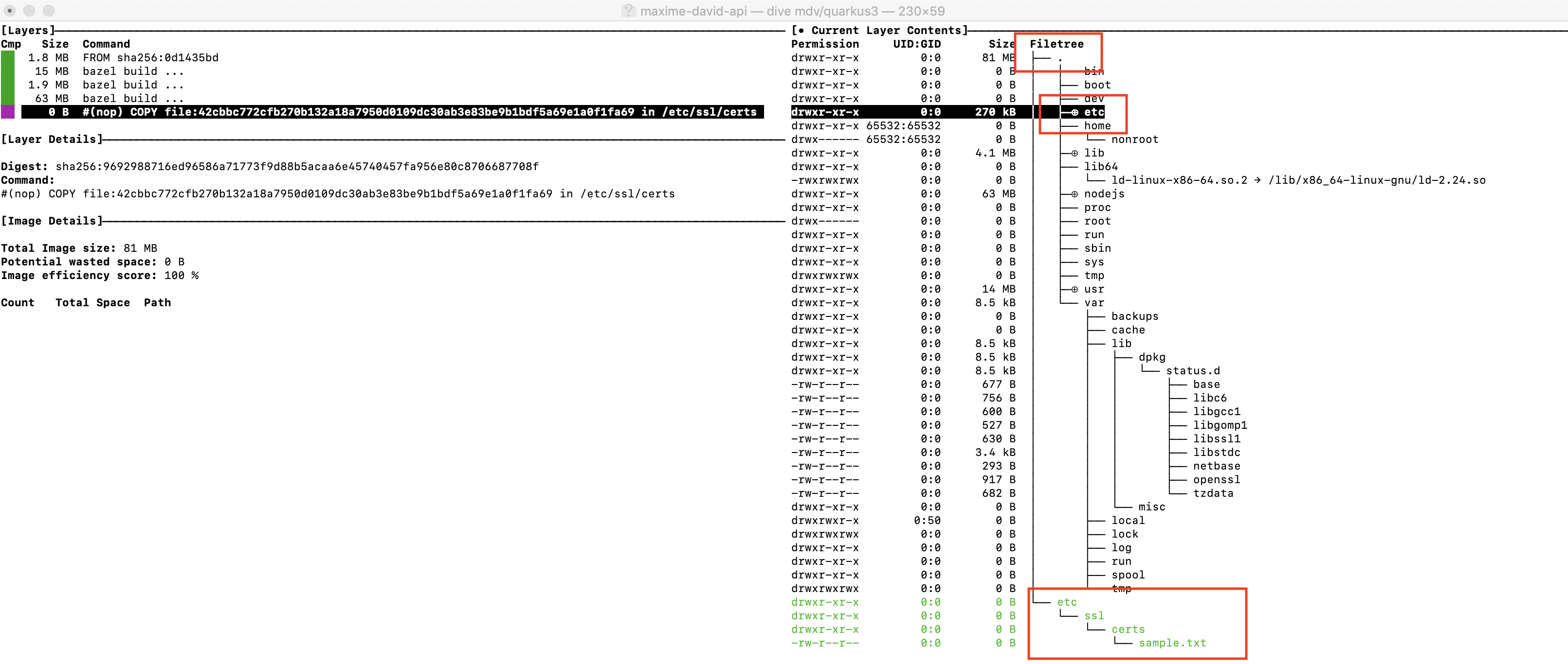 Impossible to add files in /etc · Issue #438 · GoogleContainerTools/distroless · GitHub