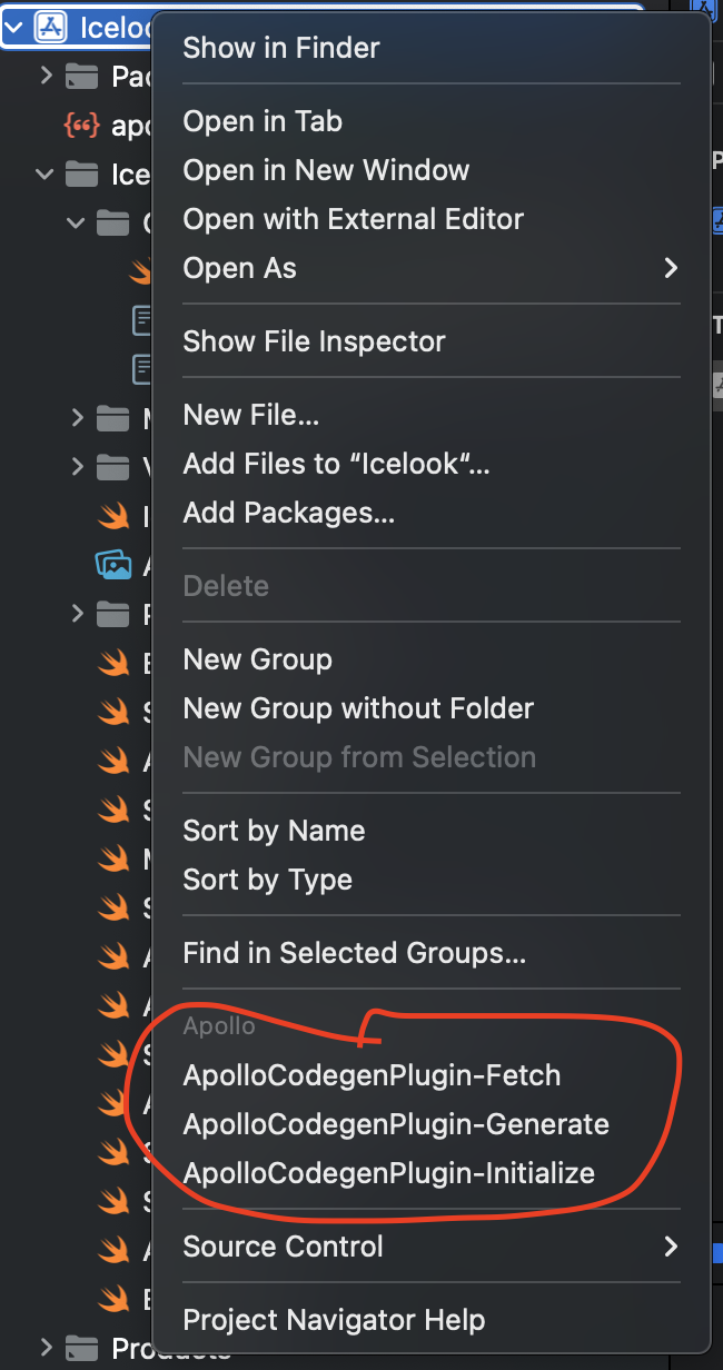 How To Use Codegen Cli With Spm In Ios Project · Issue 2601 · Apollographqlapollo Ios · Github