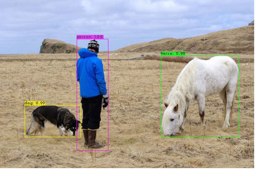 GitHub - Mukalingam/YoloV4_for_Object_detection_in_a_Video: This will ...