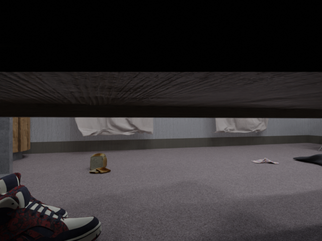 Unable to read the picture! · Issue #3 · MIC-DKFZ/napari-sam · GitHub