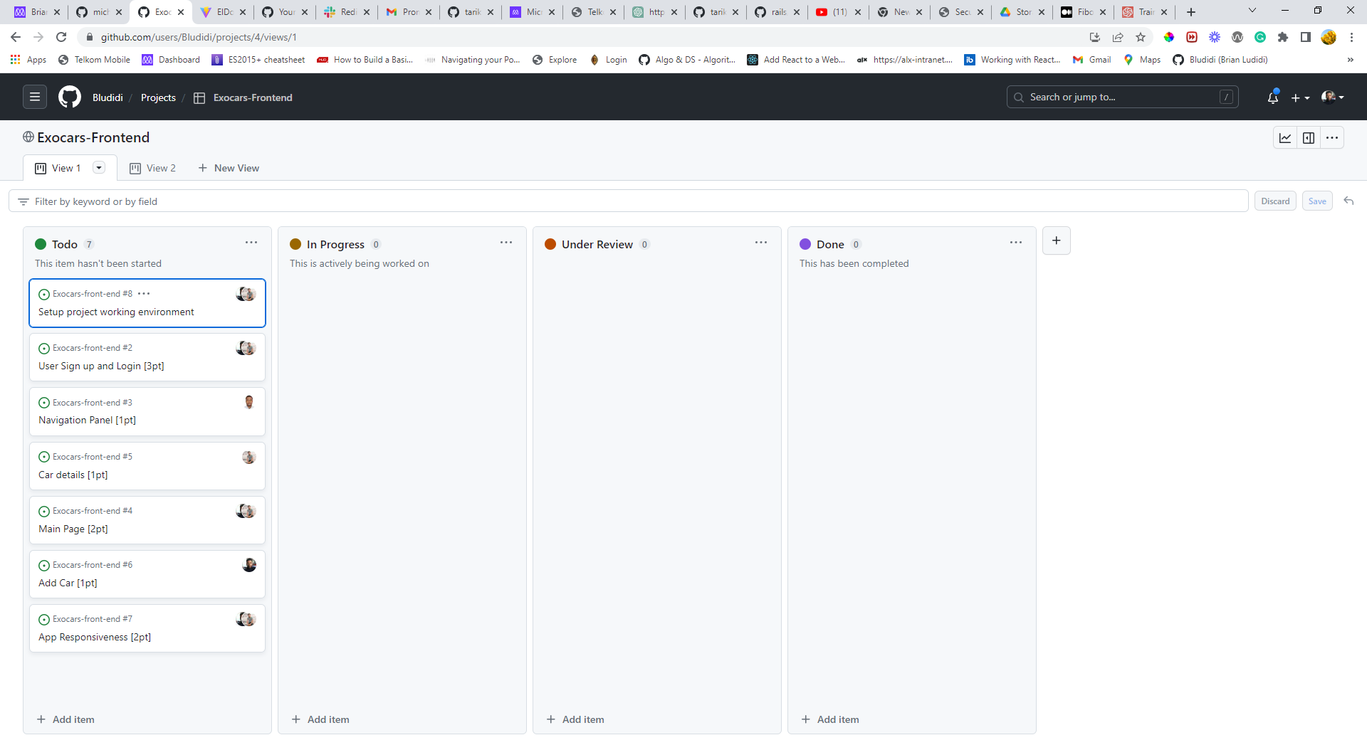 GitHub - Bludidi/Exocars-front-end