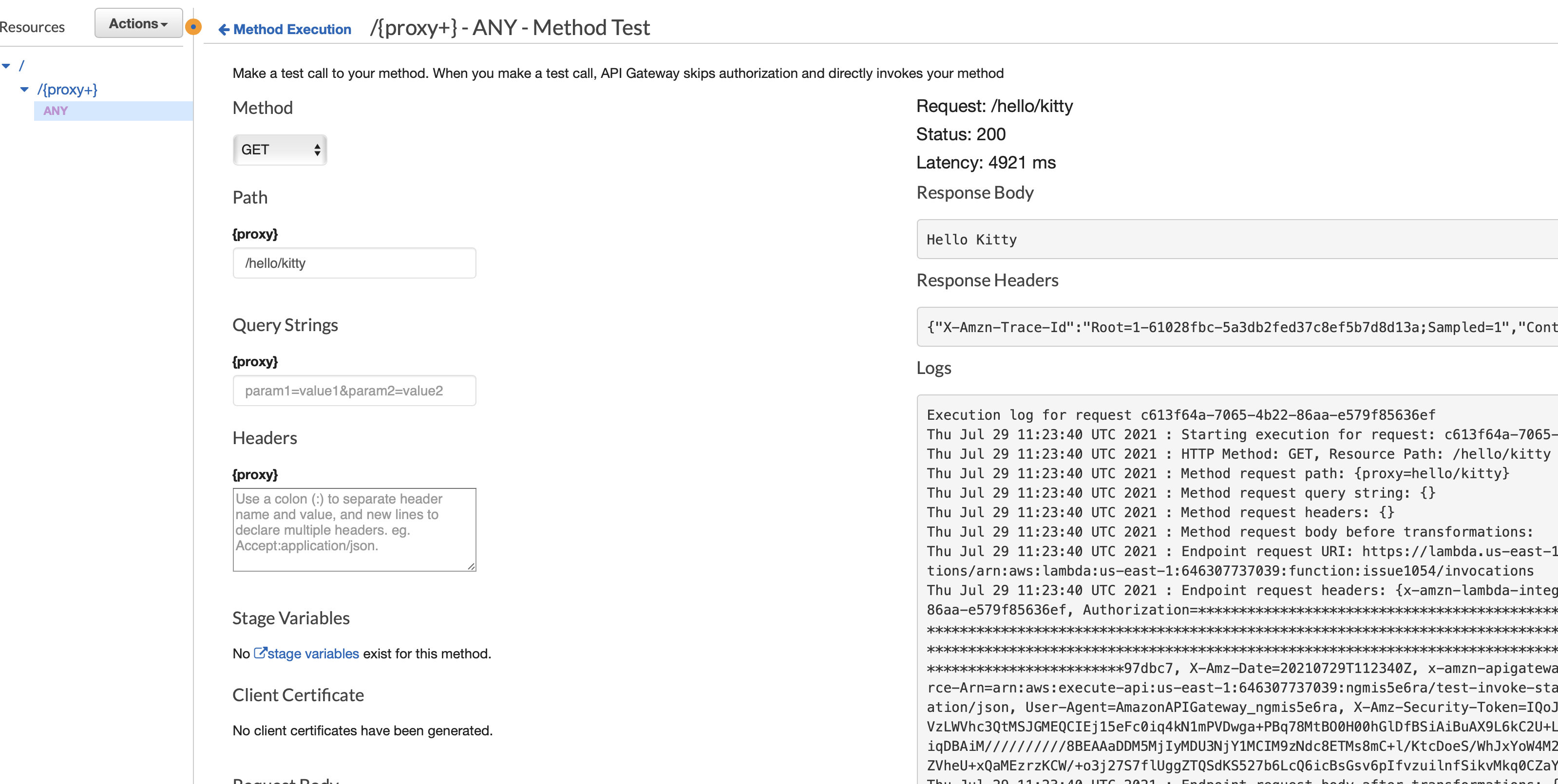 Micronaut doesn't handle API Gateway path parameters, like {proxy+} · Issue #1054 · micronaut ...