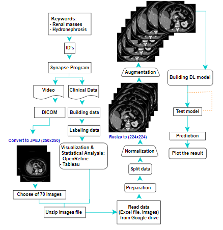 GitHub - DaliaAlzubi/Kidney_Tumor_Detection_And_Classification: Kidney ...