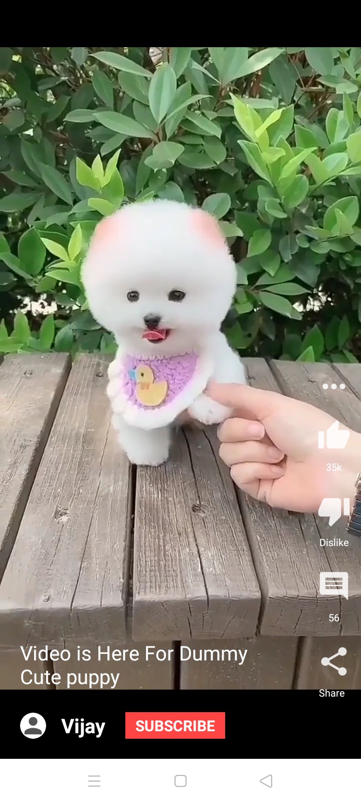 GitHub - leena-sunkara/YouTube: YouTube is an online video sharing and social media platform ...