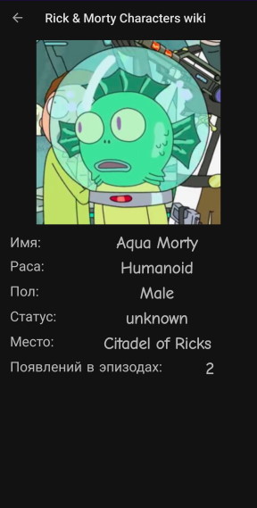 GitHub - midnight-cloud/RickAndMortyKotlinVersion: AndroidApp