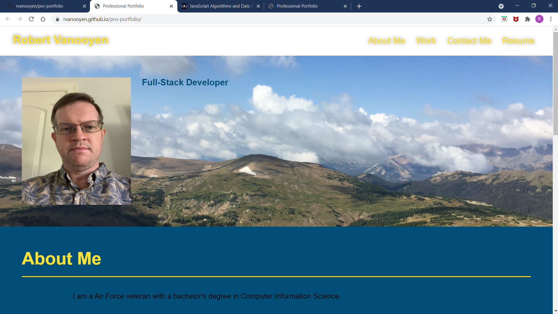 GitHub - rvanooyen/pro-portfolio