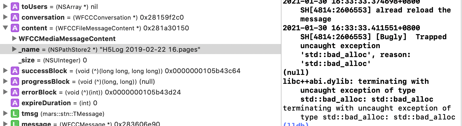 上传某种类型的文件会直接闪退 · Issue #285 · wildfirechat/ios-chat · GitHub