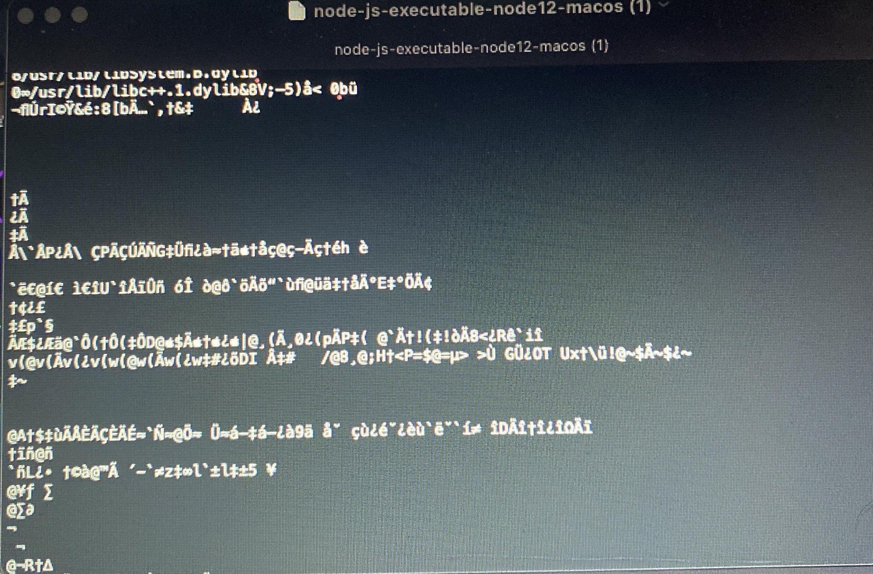 Pkg Executable For Macos Doesn T Work · Issue 1474 · Vercel Pkg · Github