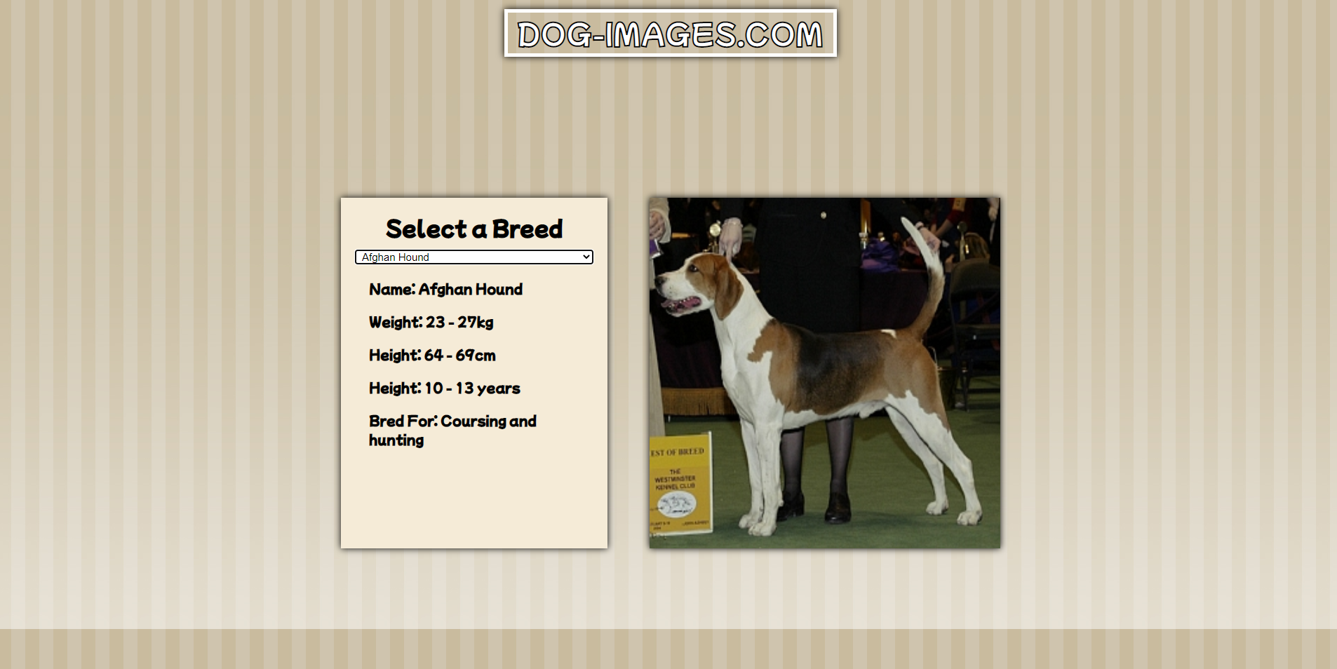 GitHub - RobertPatru/Dog-Breeds-With-API: https://dog-breed-with-api ...