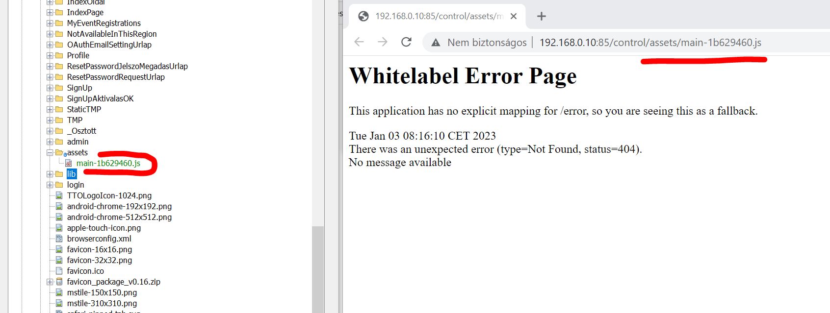 Dev tools unreliable static file serving (quick folder deleting then copy file into) · Issue ...
