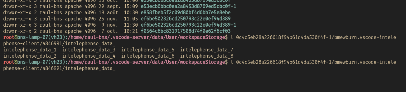 intelephense takes lots of space inside my .vscode-server/data/User/workspaceStorage · Issue ...