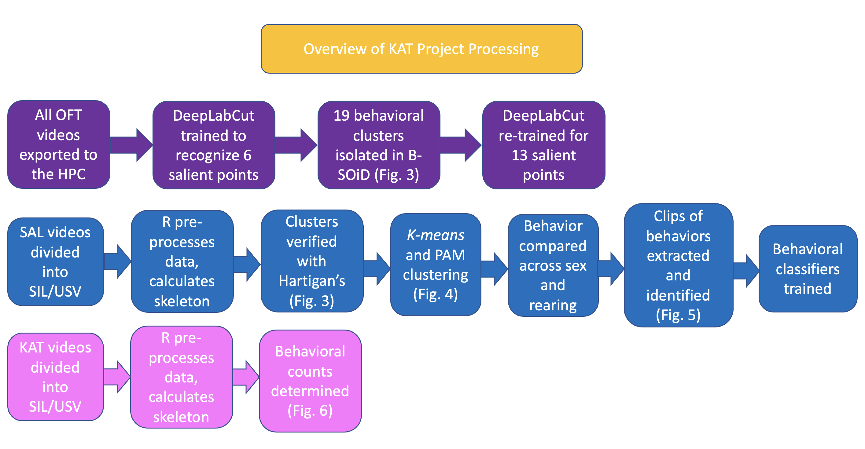 GitHub - losullil/Rat-Behavioral-Analysis-Using-DeepLabCut: A tool for the Honeycutt Lab at ...