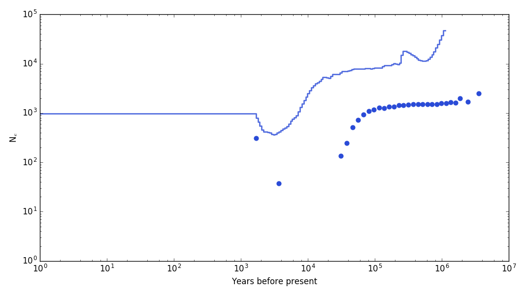 equating knots in the json file with interpolated plots · Issue #43 · popgenmethods/smcpp · GitHub