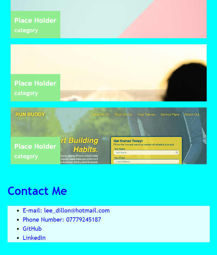 GitHub - LeeDillon/lee-dillon-portfolio